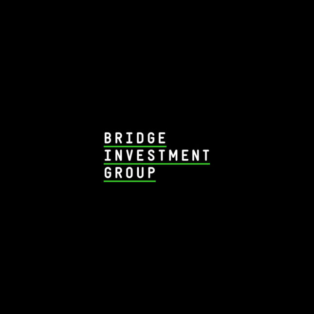 Bridge Investment Group | Resource Branding
